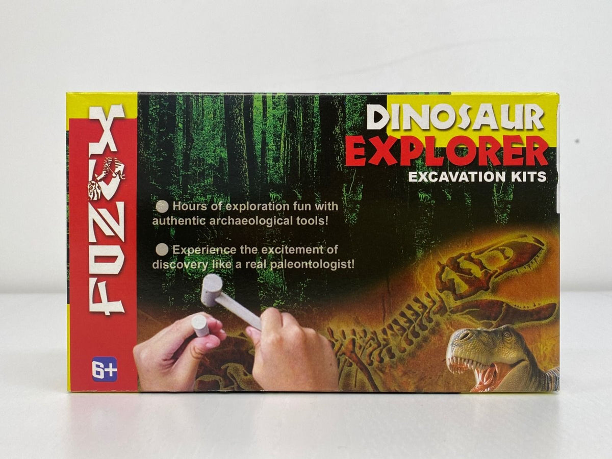 Dinosaur Explorer Excavation Kit Dino Skeleton – Crystal Wonderland